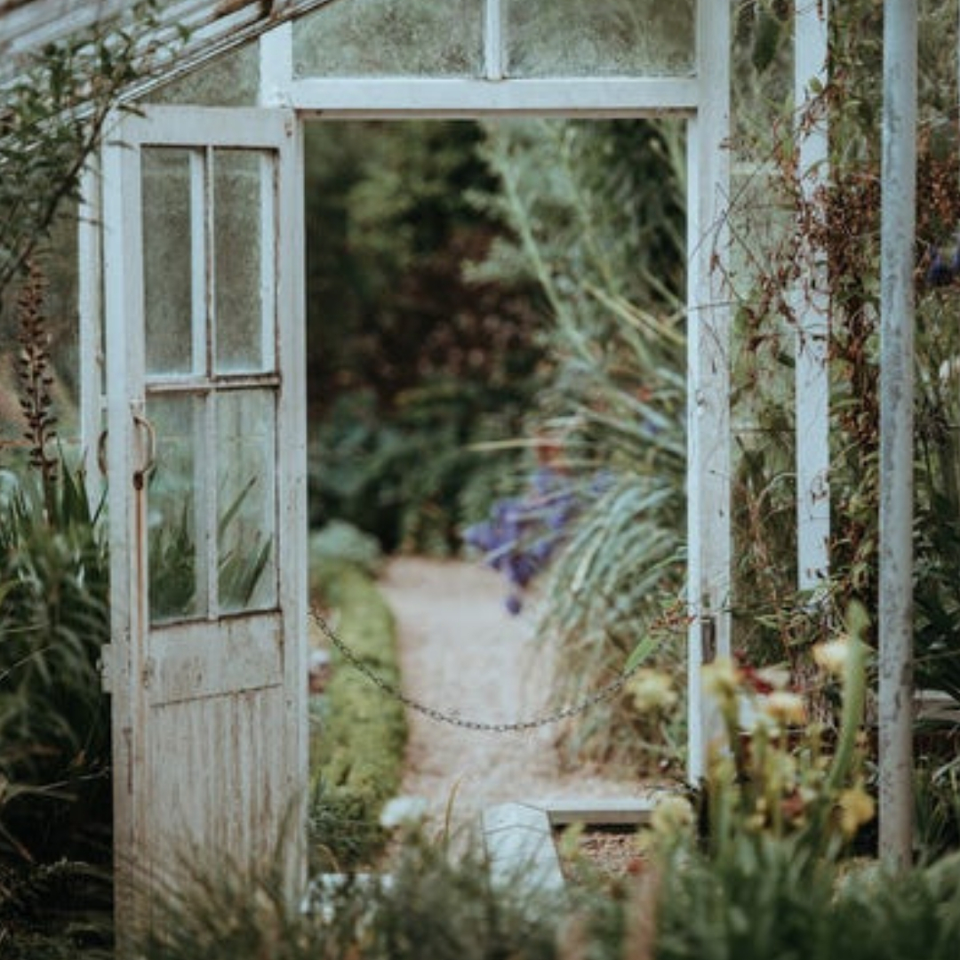 Poem: Sustenance… | Amaliah